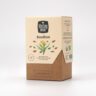 Green Tea - McCoy Teas